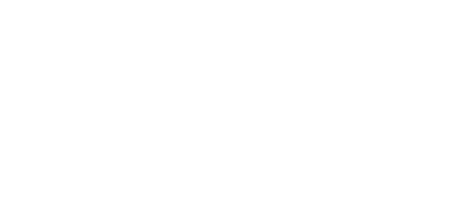 Black Frog Studio – Creative Studio